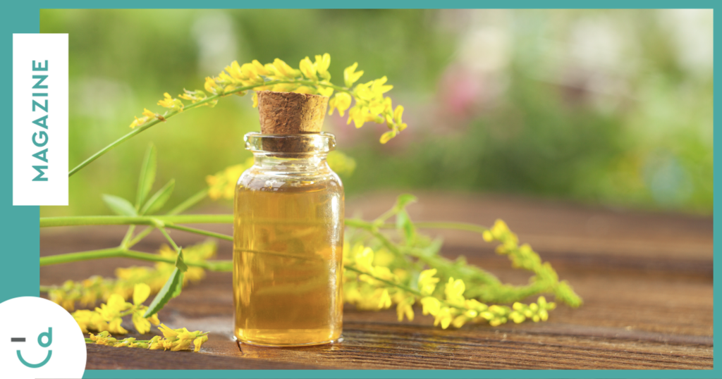 L’agrimonia: un portento per la salute della bocca